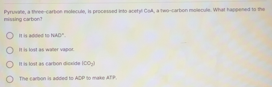 Solved: Pyruvate, a three-carbon molecule, is processed into acetyl CoA ...