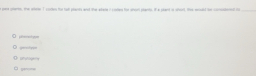 Solved: pea plants, the allele T codes for tail plants and the altele I ...