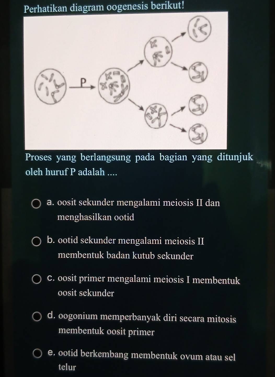 Telah dijawab:Perhatikan diagram oogenesis berikut! Proses yang ...