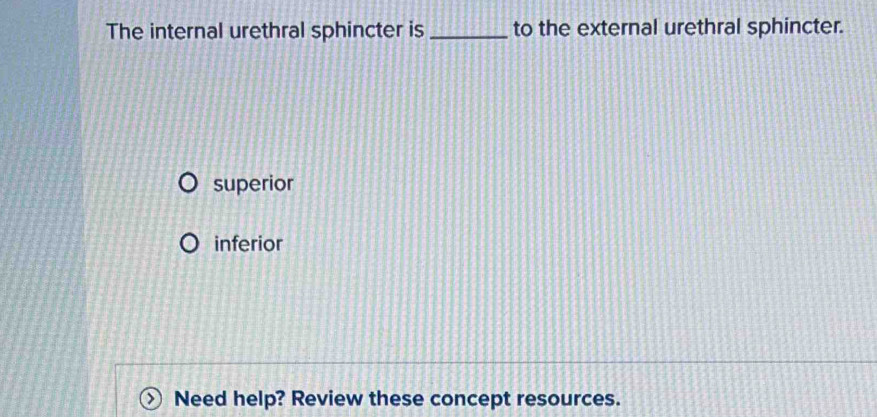Solved: The internal urethral sphincter is_ to the external urethral ...