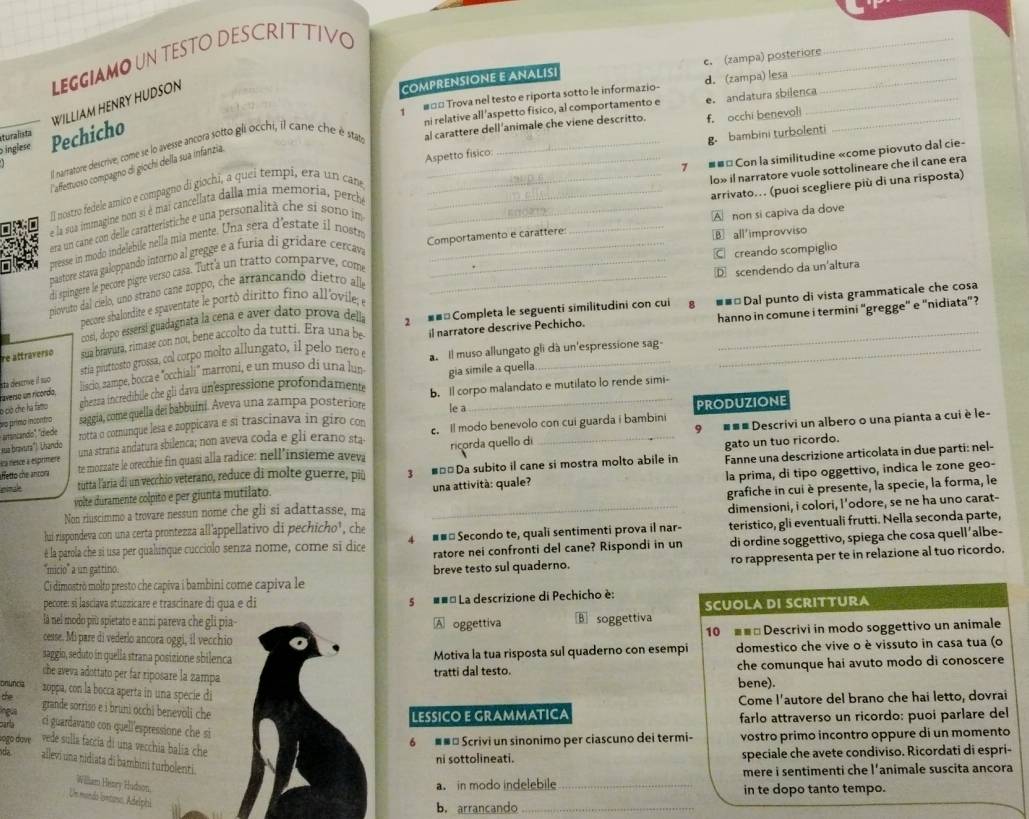 Risolto:LEGGIAMO UN TESTO DESCRIT TIVO COMPRENSIONE E ANALISI e. (zampa ...
