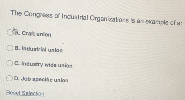 Solved: The Congress of Industrial Organizations is an example of a: B ...