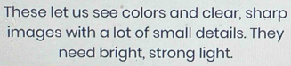 Solved: These let us see colors and clear, sharp images with a lot of ...