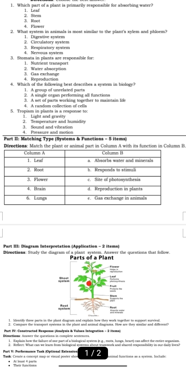 Solved: Which part of a plant is primarily responsible for absorbing ...