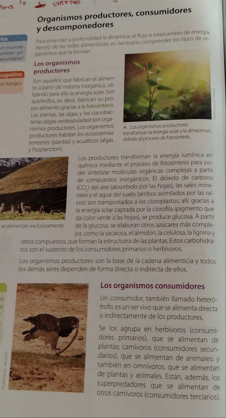 Resuelto:Organismos productores, consumidores y descomponedores ios ...