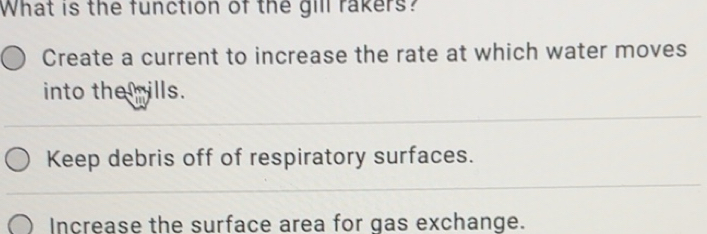 Solved: What is the function of the gill rakers? Create a current to ...