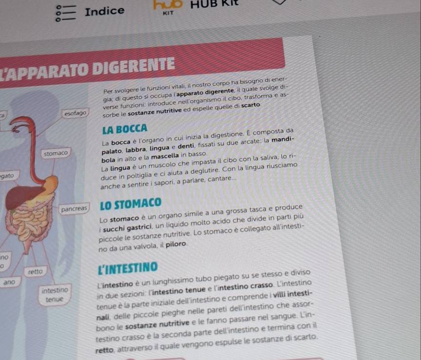 Risolto:Indice KIT HÜB KIt LAPPARATO DIGERENTE Per svolgere le funzioni ...