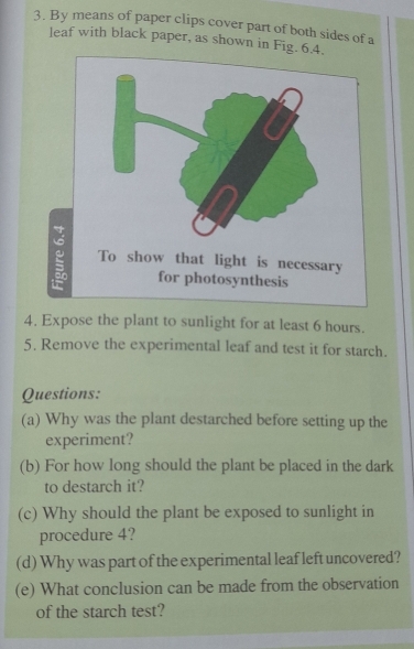 Solved: By means of paper clips cover part of both sides of a leaf with ...