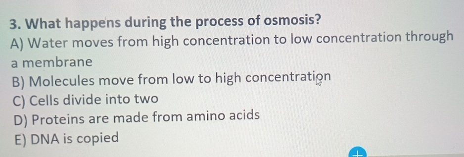 Solved: What happens during the process of osmosis? A) Water moves from ...