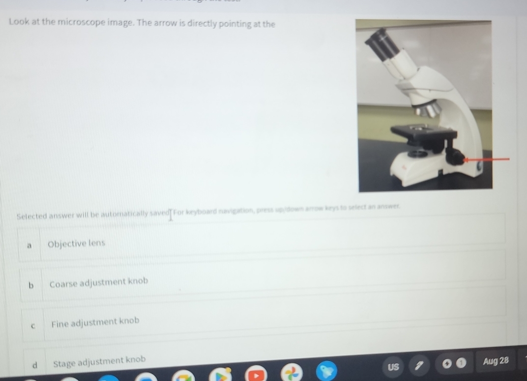 Solved: Look at the microscope image. The arrow is directly pointing at ...