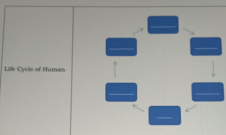 Solved: Life Cycle of Human [Biology]