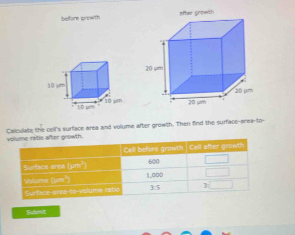 Solved: before growth after growth Calculate the cell's surface area and volume after growth ...