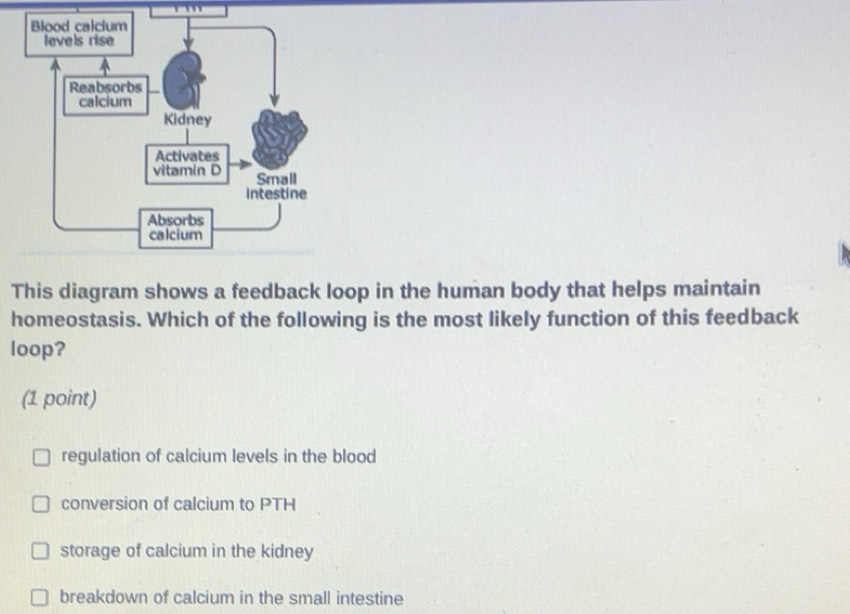 Solved: This diagram shows a feedback loop in the human body that helps ...