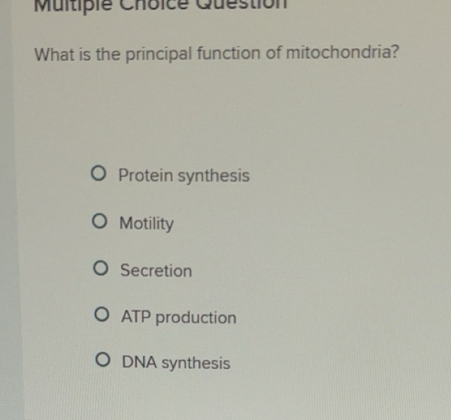 Solved: Multipie Choice Question What is the principal function of ...