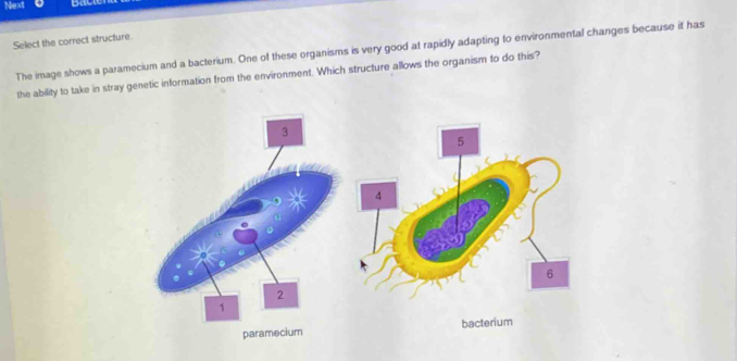 Solved: Next Select the correct structure. The image shows a paramecium ...