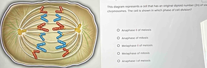 Solved: diagram represents a cell that has an original diploid number ...