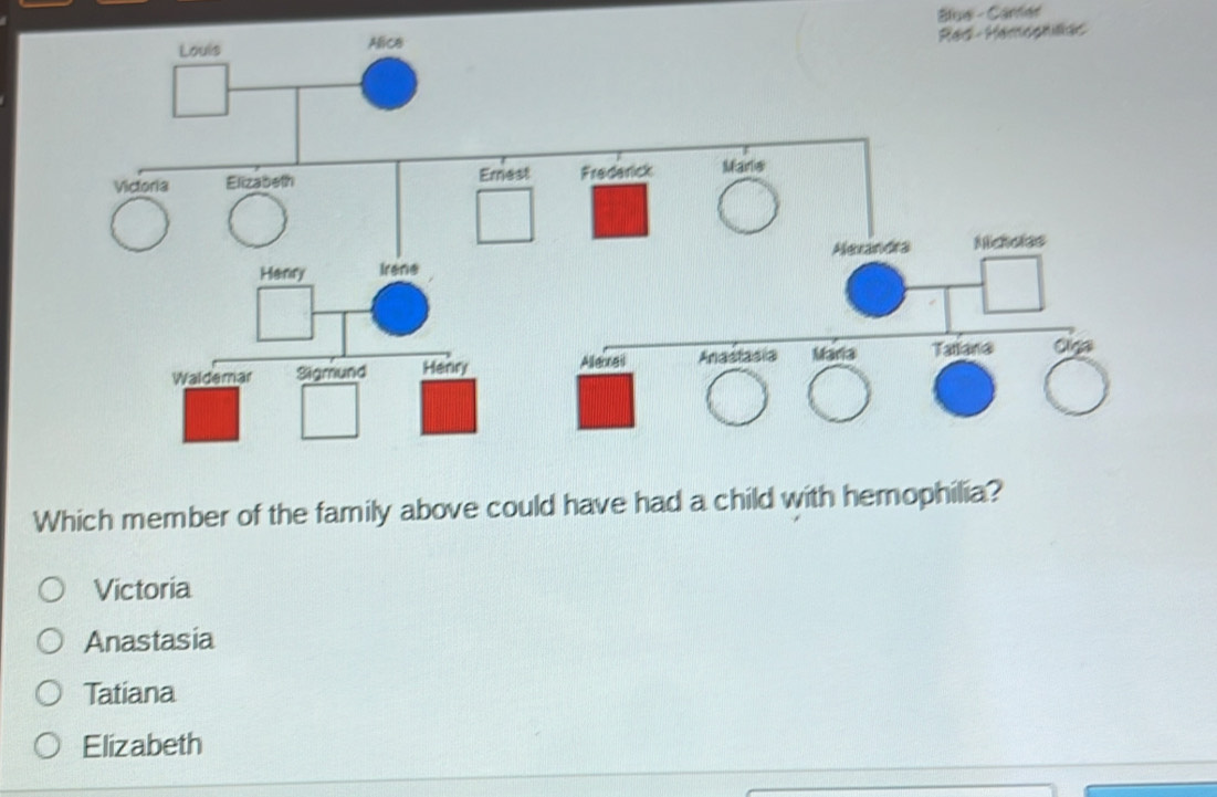 Solved: Blue - Carrer Which member of the family above could have had a ...