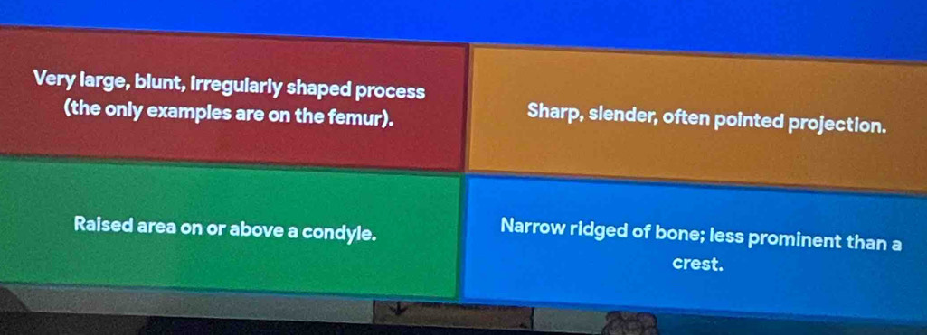 Solved: Very large, blunt, irregularly shaped process (the only ...