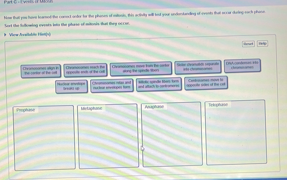 Solved: Events of Mitosis Now that you have learned the correct order for the phases of mitosis ...