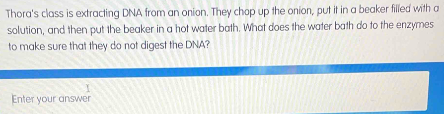 Solved: Thora's class is extracting DNA from an onion. They chop up the ...