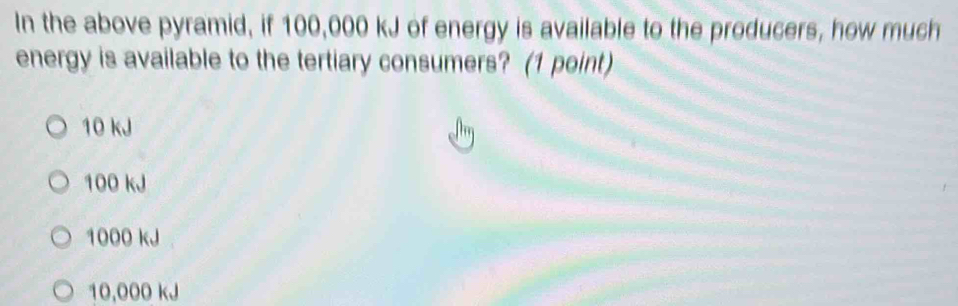 Solved: In the above pyramid, if 100,000 kJ of energy is available to ...