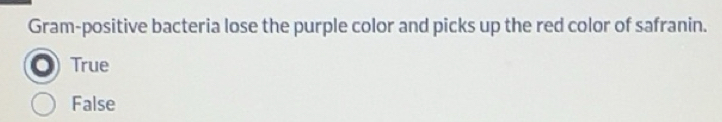 Solved: Gram-positive bacteria lose the purple color and picks up the ...