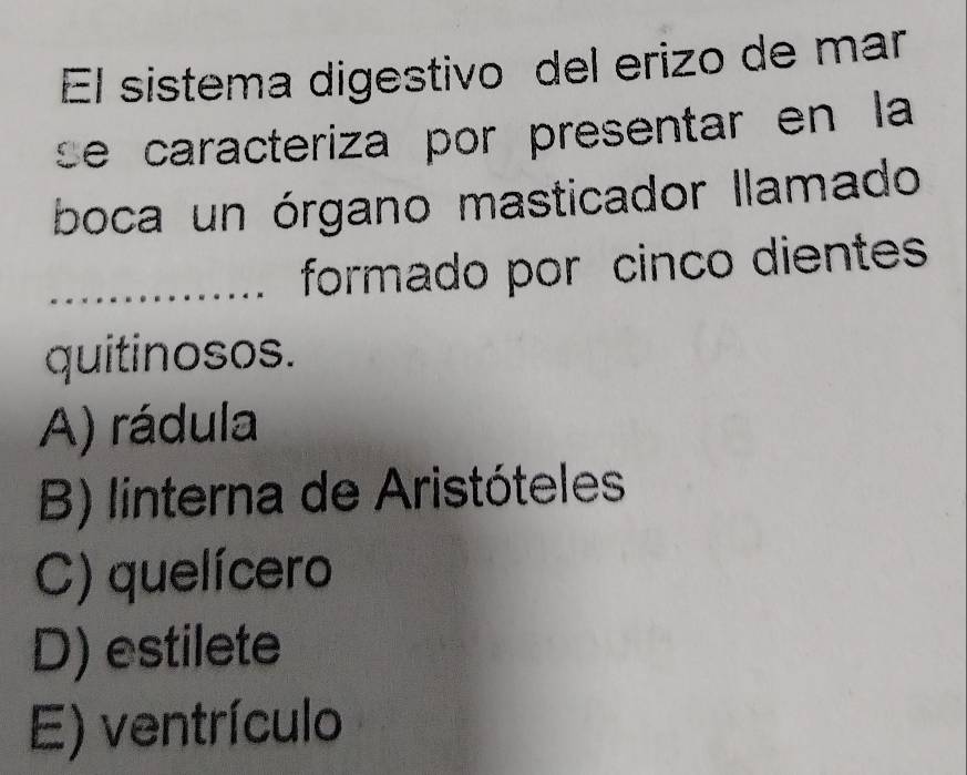 Resuelto:El sistema digestivo del erizo de mar se caracteriza por ...