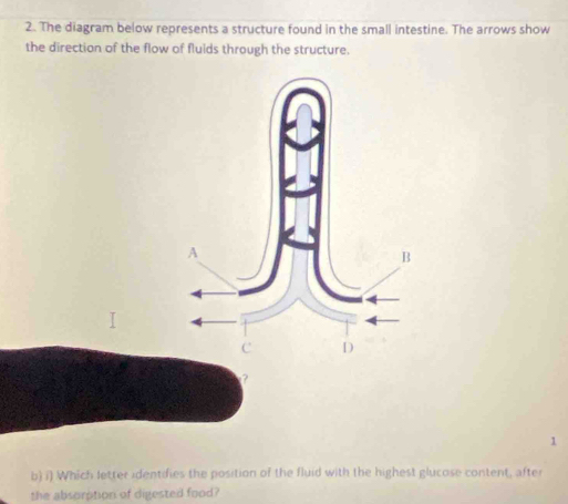 Solved: The diagram below represents a structure found in the small ...