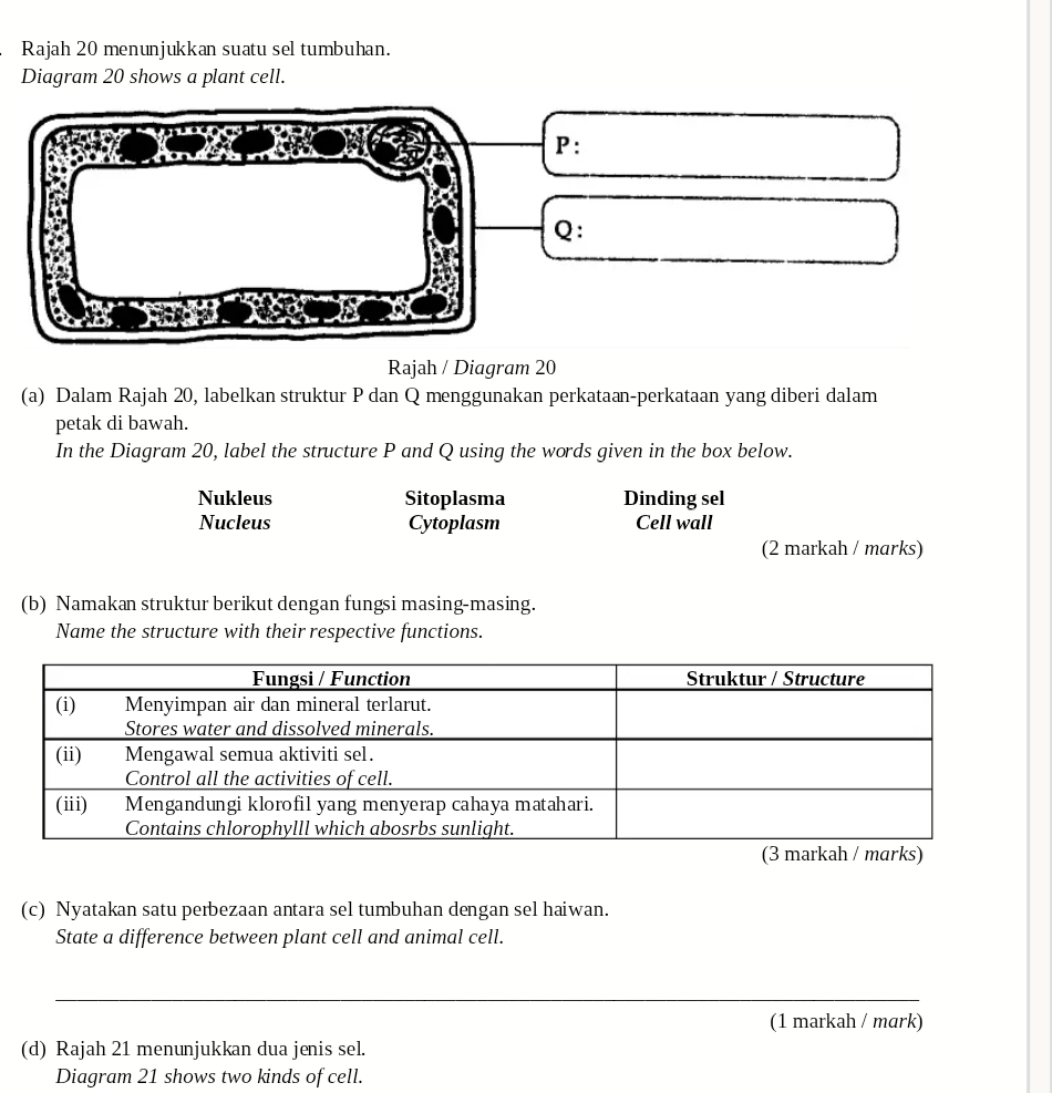 Selesai:Rajah 20 menunjukkan suatu sel tumbuhan. Diagram 20 shows a ...