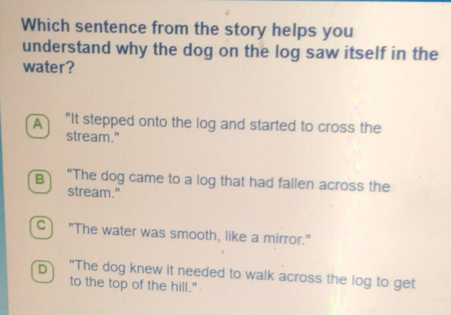 Solved: Which sentence from the story helps you understand why the dog ...