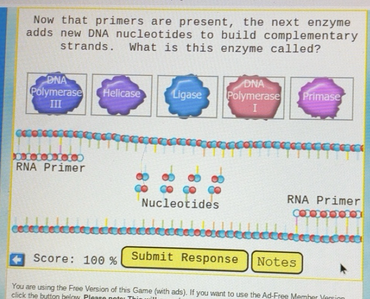Gelöst:Now that primers are present, the next enzyme adds new DNA ...