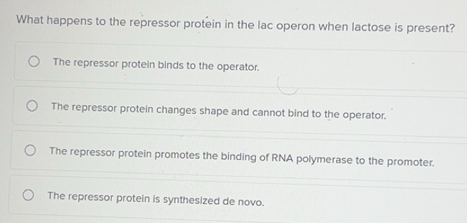Solved: What happens to the repressor protein in the lac operon when ...