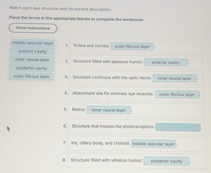 Solved: Match each eye structure with its correct description. Place ...