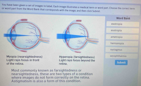 Solved: You have been given a set of images to label. Each image ...