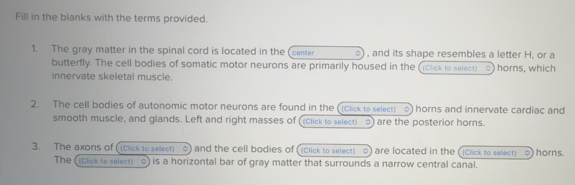 Solved: Fill in the blanks with the terms provided. 1. The gray matter ...