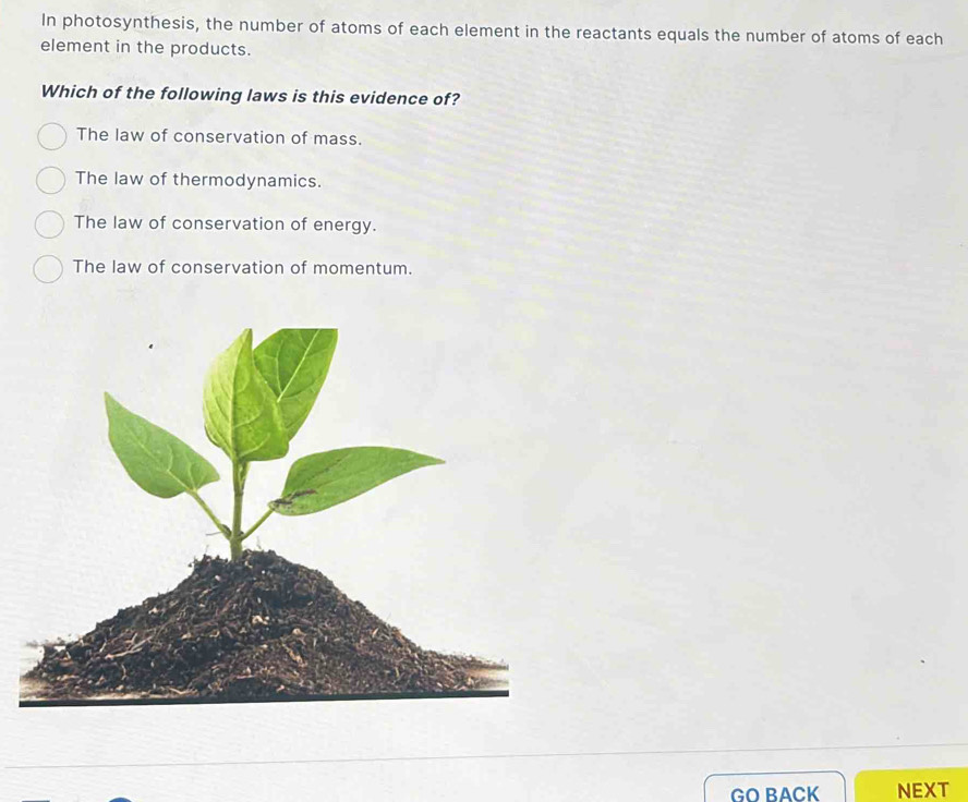 Solved: In photosynthesis, the number of atoms of each element in the ...