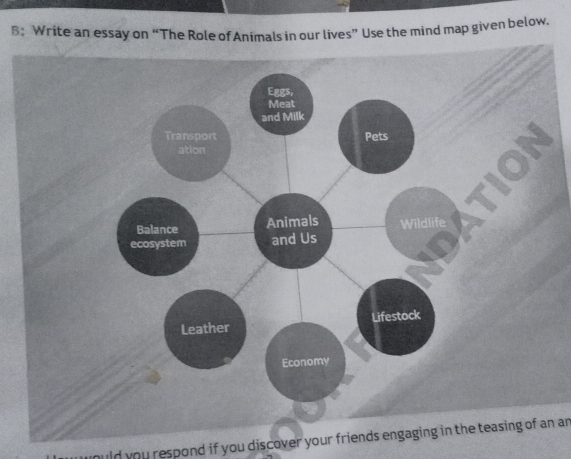 Solved: B: Write an essay on “The Role of Animals in our lives” Use the ...