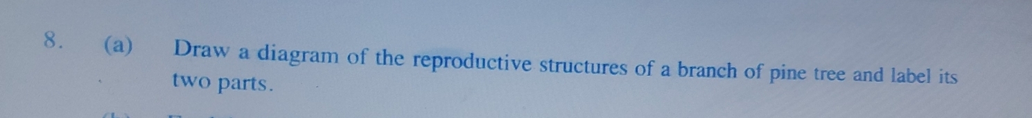 Solved: Draw a diagram of the reproductive structures of a branch of ...
