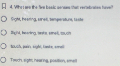 Solved: What are the five basic senses that vertebrates have? Sight ...
