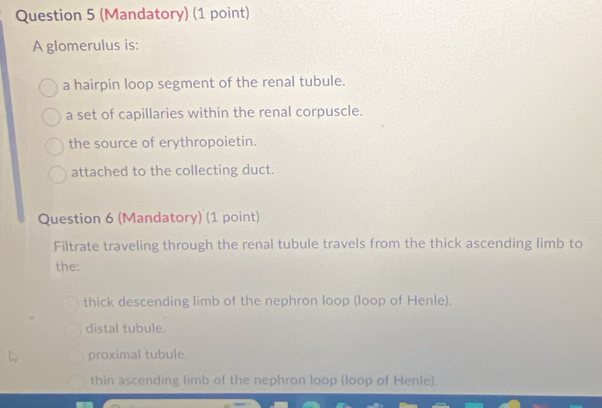 Solved: (Mandatory) (1 point) A glomerulus is: a hairpin loop segment ...
