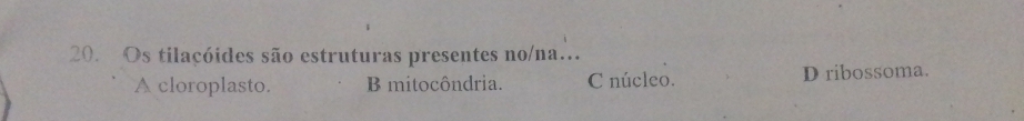 Solved Os Tila ides S o Estruturas Presentes No na A Cloroplasto