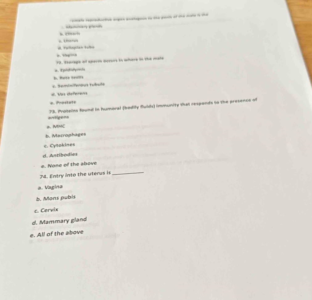 Solved: renate reprecrates angat adapaióe de dae qesbde de cie duatte ...