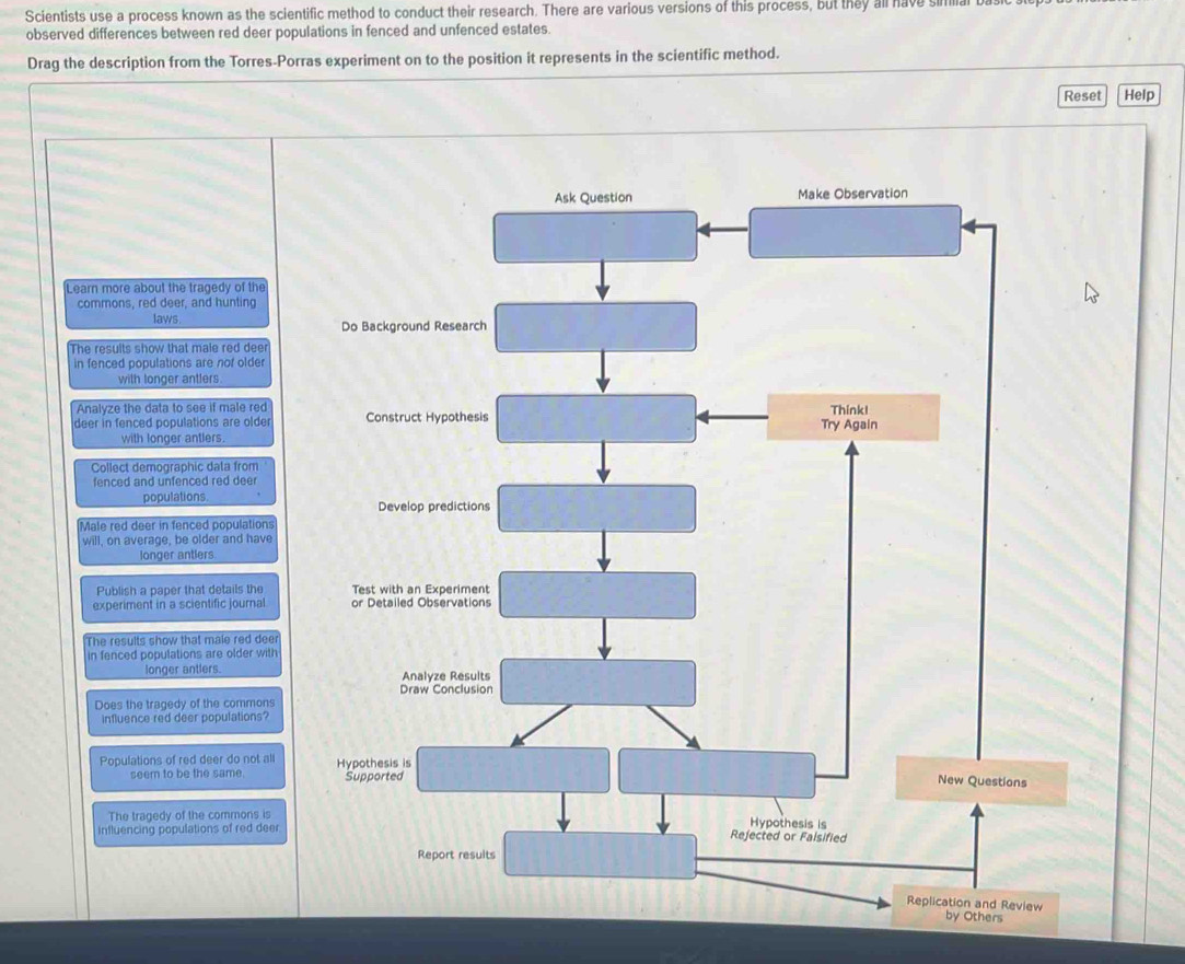 Solved: Scientists use a process known as the scientific method to ...