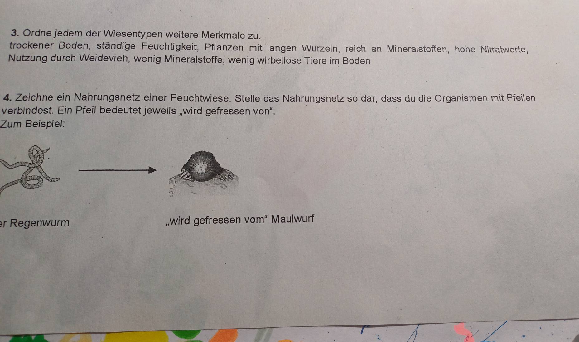 Gelöst:Ordne jedem der Wiesentypen weitere Merkmale zu. trockener Boden ...