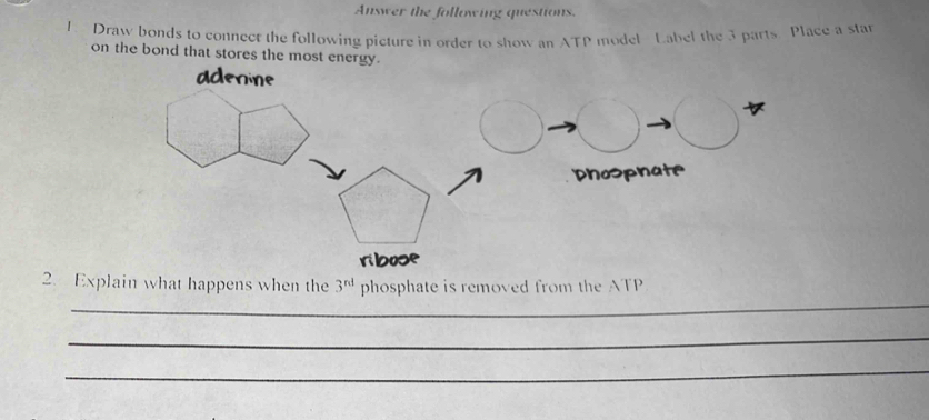 Solved: Answer the following questions. 1. Draw bonds to connect the ...