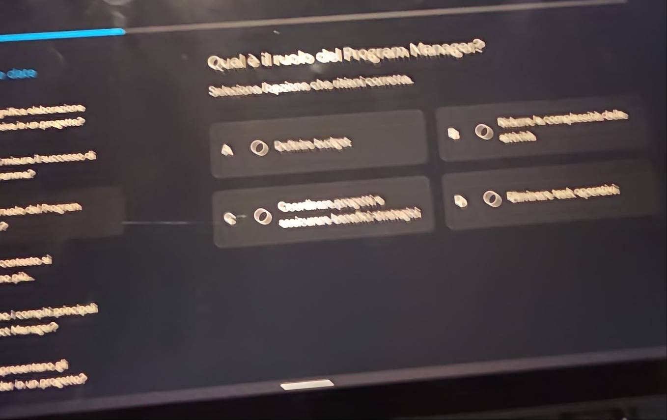 Risolto:Qual è il ruclo del Program Manager? Selezione l'opzione che ...