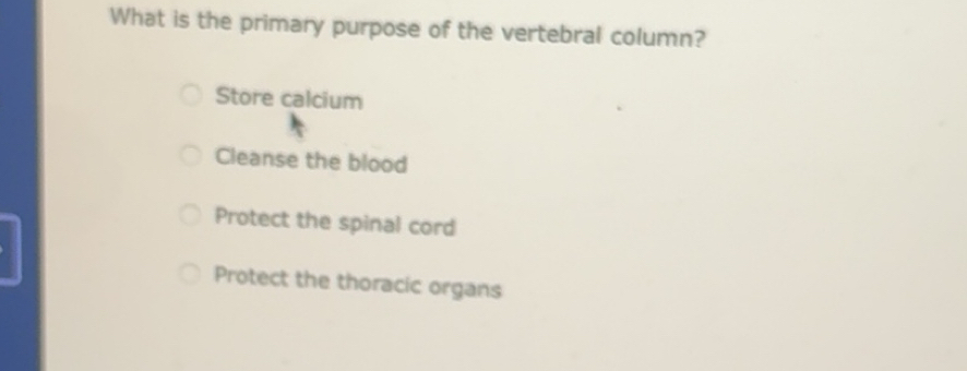 Solved: What is the primary purpose of the vertebral column? Store ...