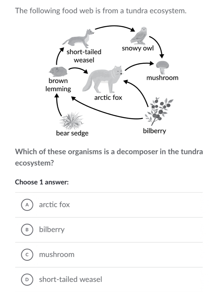 Resuelto:The following food web is from a tundra ecosystem. Which of ...