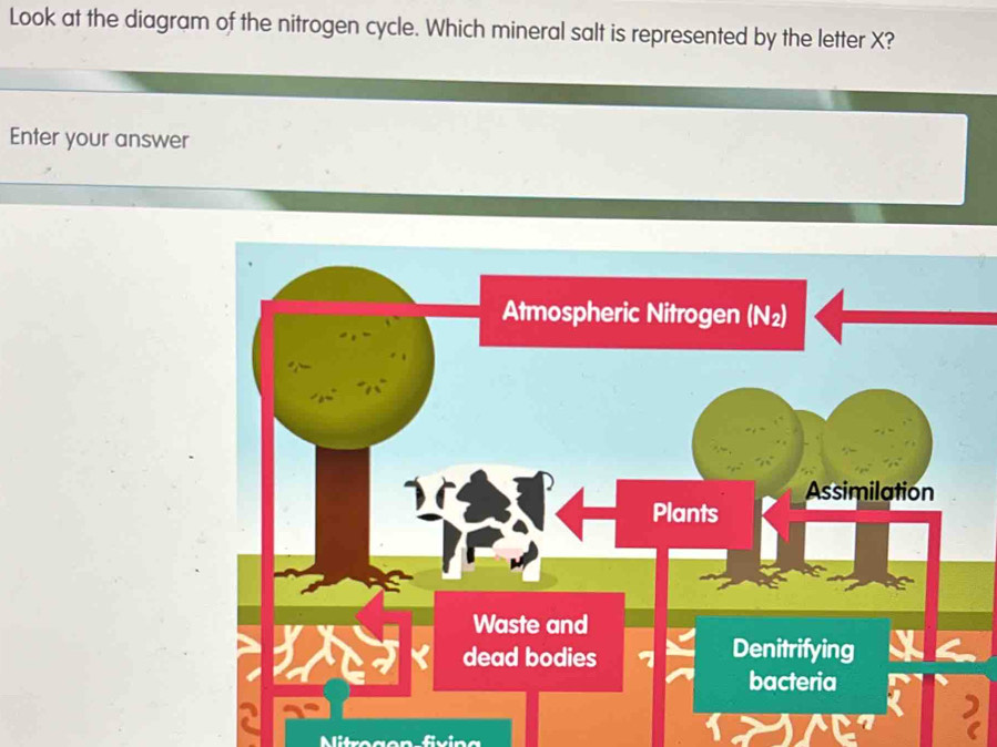 Solved: Look at the diagram of the nitrogen cycle. Which mineral salt ...