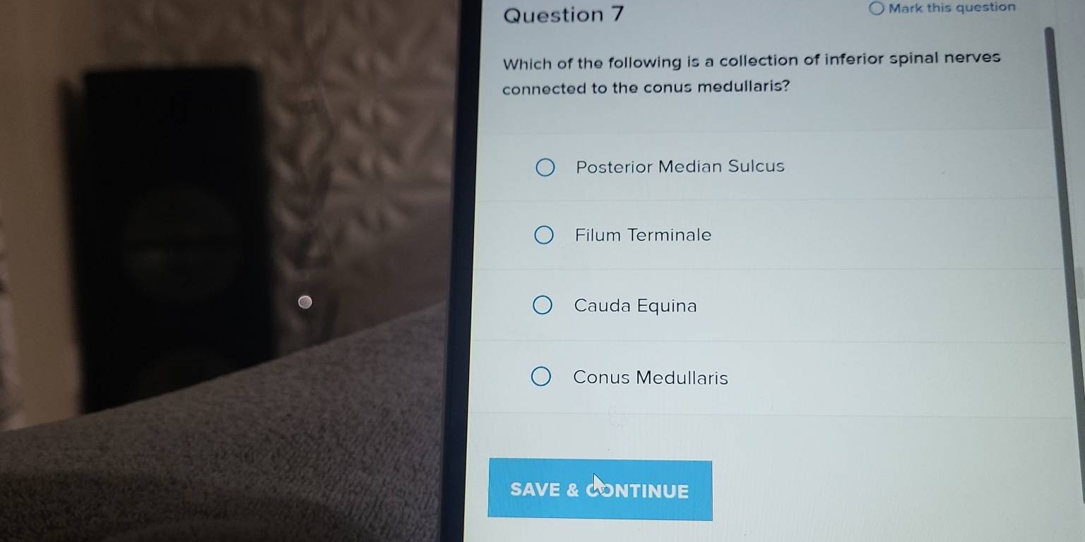 Solved: Mark this question Which of the following is a collection of ...